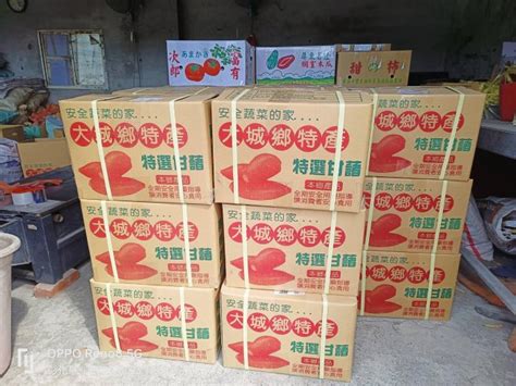 快速出貨 產地直銷 歡迎來訂購臺農66號紅肉地瓜紅大25斤裝含運費是870元 Yahoo奇摩拍賣