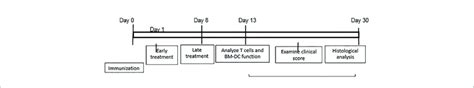 Scheme 1 Schematic Experimental Procedure Download Scientific Diagram