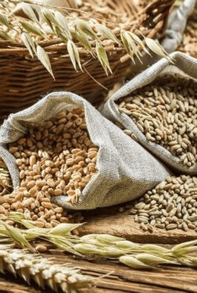 Dieta Para Aumentar La Masa Muscular Mui Fitness Alimentación