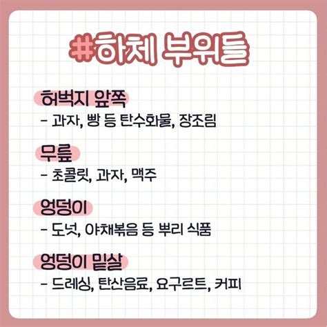 부위별 살찌는 음식 총정리 뷰티 피부 다이어트 네모판