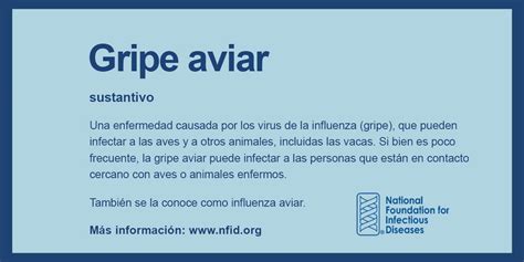 Encuesta Nacional 2024 Actitudes Y Comportamientos Sobre La Influenza