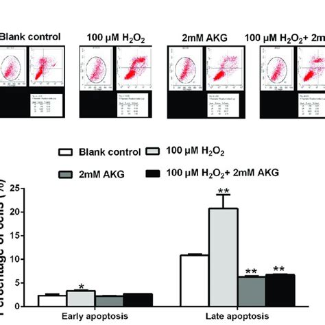 Cell Apoptosis In The Ipec J2 Cells A Cells Were Treated Without