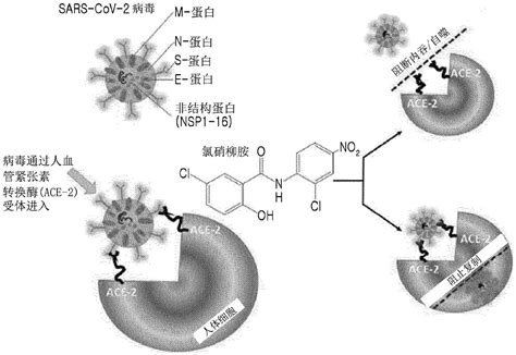 包含难溶性药物的金属氢氧化物或金属氧化物复合体其制备方法以及包含其的药物组合物与流程