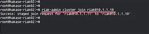 How To Setup Riak Kv Database Cluster On Ubuntu 1804