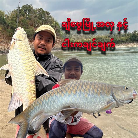 အရသာရှိလှတဲ့ ငါးကချင်ချက်တူတူစားကြမယ် ချီဗွေ မြို့ အလှနဲ့ ငါးအလှ တွေ အဝကြည့်ရမယ် အရသာရှိလှတဲ့