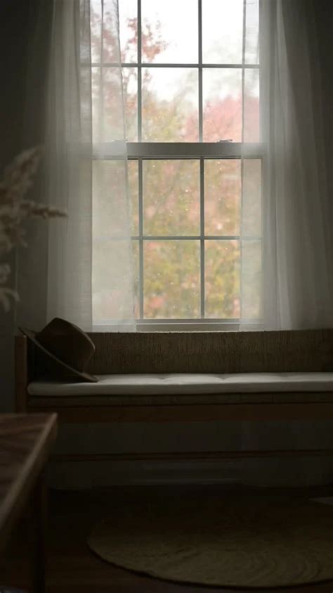 Snow Falling Outside Window Stock Video Footage Royalty Free Snow