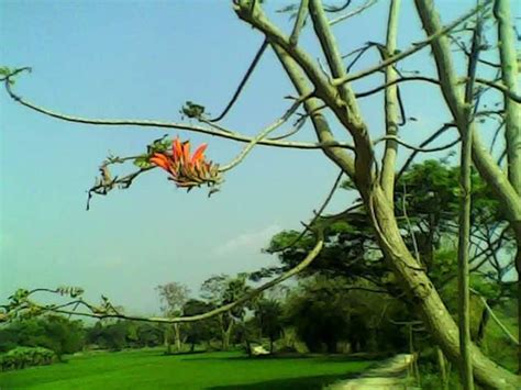 꽃들 자연 Pixabay의 무료 사진 Pixabay