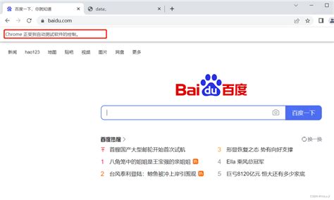 软件测试之自动化测试 Csdn博客