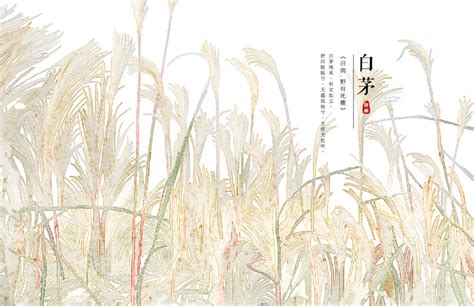 【花间集】作者：秋娘 诗经植物 涂鸦 高清图片，堆糖，美图壁纸兴趣社区