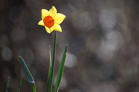 Spring Fishing Tips Your Guide To Fishing The Seasons