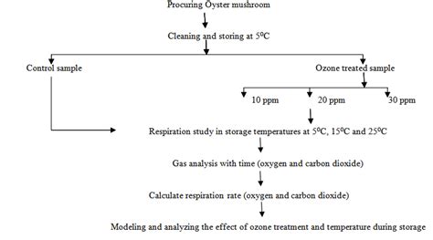 Flow Chart Of Design Of Experiment Download Scientific Diagram