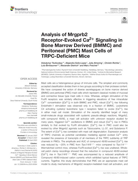 Pdf Analysis Of Mrgprb Receptor Evoked Ca Signaling In Bone Marrow Derived Bmmc And
