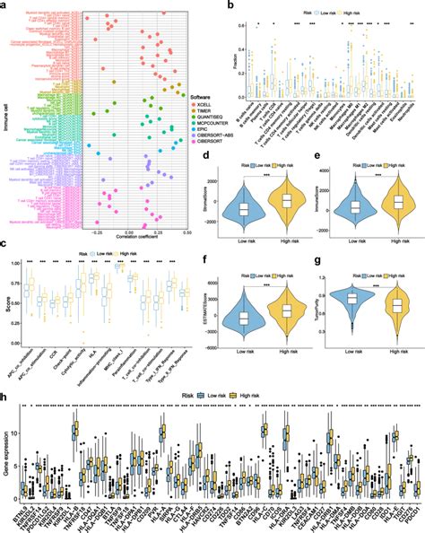 A Comprehensive Risk Model Of Disulfidoptosis Related Lncrnas Predicts
