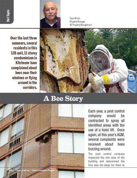 Cornerstone Structural Restoration Inc On Linkedin Structuralrepair