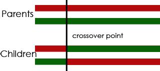Introduction To Genetic Algorithms In Java