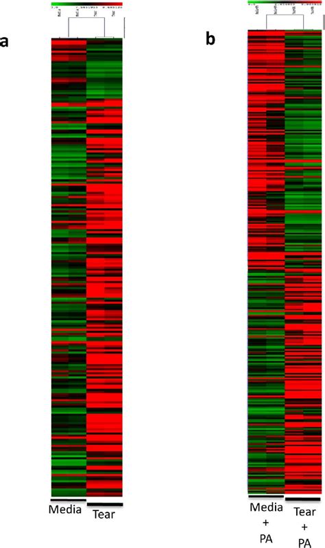 Microarray Analysis Of Epithelial Cells Exposed To Tear Andor P
