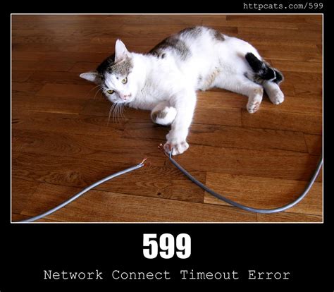 599 Network Connect Timeout Error Status Code And Cats