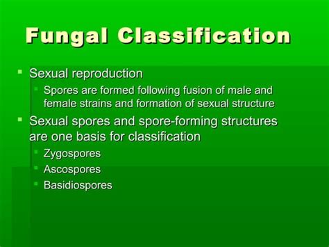 3 Classification Of Microorganisms Ppt