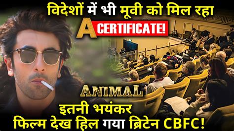 British Censor Grants 18 Certificate To Ranbir Kapoor Animal Moderate