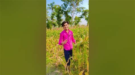 Jisdin Teri Meri Baat Nhi Hoti ️ Videos Hindi Trand Reels Status