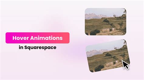 How To Add Hover Animations To Squarespace No Code Needed