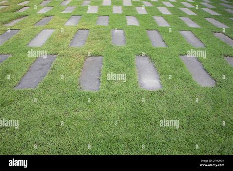 The Cement Tiles Between Green Grass Background Green Grass And Cement