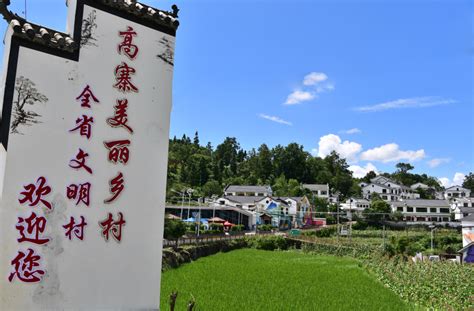 观山湖区：“五治”美乡村 实事暖民心澎湃号·政务澎湃新闻 The Paper
