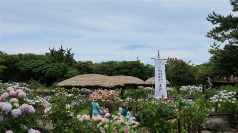 濟州島隱藏秘境景點IG網美熱門推薦必去濟州島打卡景點우도마을與제주다원 녹차미로공원等精選超人氣景點都在這 KKday