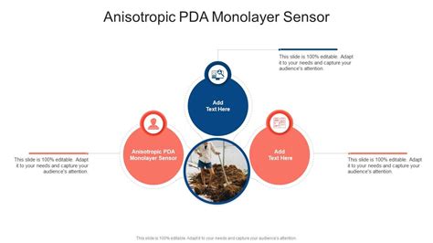 Anisotropic Pda Monolayer Sensor In Ppt Powerpoint Presentation Slide