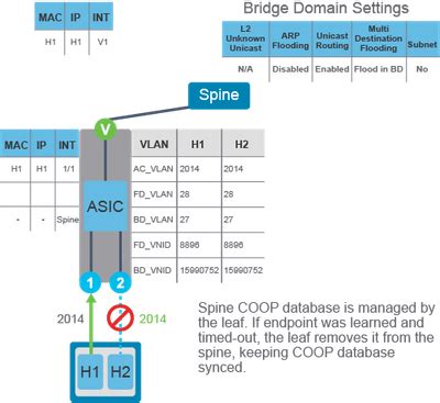 Understand ARP Flooding And ARP Gleaning In ACI Cisco