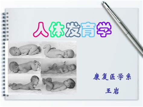 人体发育 第一章word文档在线阅读与下载无忧文档