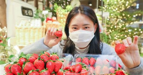 현대백화점 신품종 홍희 딸기 선보여