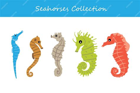 Colección De Caballitos De Mar Ilustración Vectorial Aislada Sobre Un