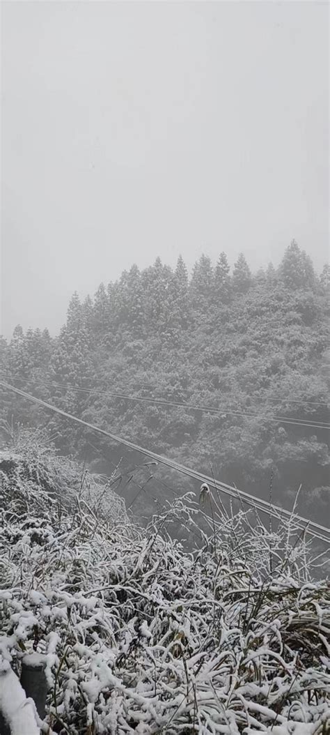 彭水苗族土家族自治县气象局