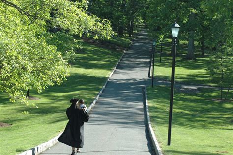 Effective Admissions Essays Academic Editor For Common App And Personal