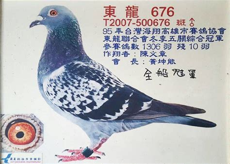 Taiwan KK賽鴿網 名家名舍 明宏鴿舍 鴿舍介紹