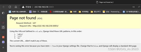国科大web安全技术课程期中ctf国科大ctf训练平台 Csdn博客
