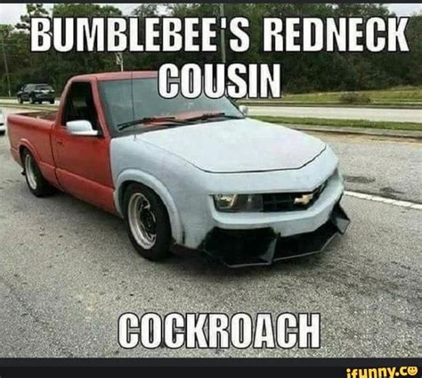 Bumblebees Redneck Cousin Ifunny