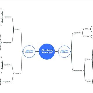 The Comprehensive Atlas Categorizing CRC Subtypes Diverse CRC Download Scientific Diagram