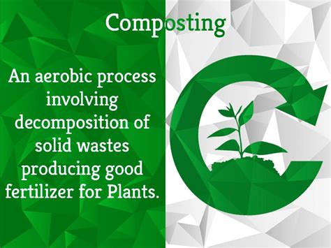 Composting Basics All You Need To Know GreenSutra