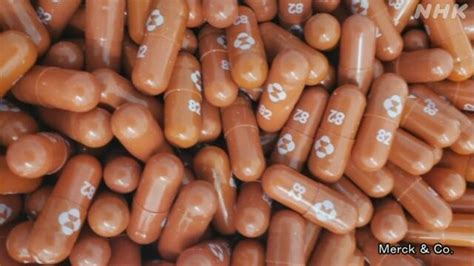 “コロナ飲み薬”開発の製薬大手幹部「日本でも年内供給を」 新型コロナウイルス Nhkニュース
