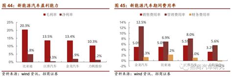 比亚迪的盈利模式分析比亚迪靠什么盈利比亚迪商业模式分析第3页大山谷图库