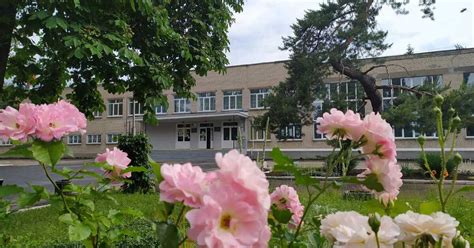 Пилип Орлик та його Конституція Презентація Історія України