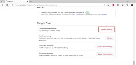 Github Repository Visibility Setup