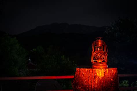 호 러 할로윈 개념입니다 밤에 숲에서 오래 된 기름 램프를 레코딩 악몽 장면의 밤 풍경입니다 공포 무서움에 대한 스톡 사진 및