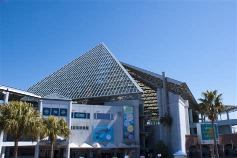 玄関先迄納品 八景島シーパラダイス アクアパーク品川 割引券 2023年3月31日まで