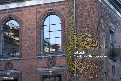 古いガラス窓とレンガ造りの建物の壁を登る葉 ツタのストックフォトや画像を多数ご用意 ツタ 建物の外観 煉瓦 Istock