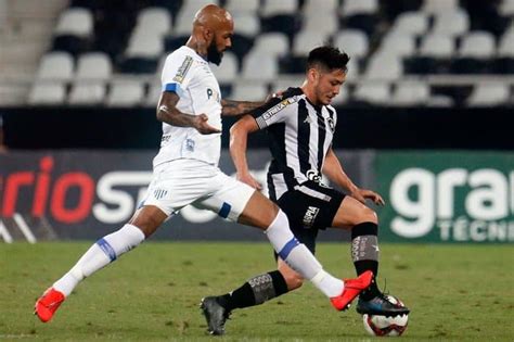 Avaí X Botafogo Onde Assistir Ao Vivo Horário E Escalações Minha