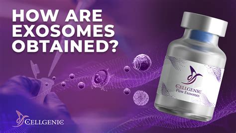 How Are Exosomes Obtained Cellgenic