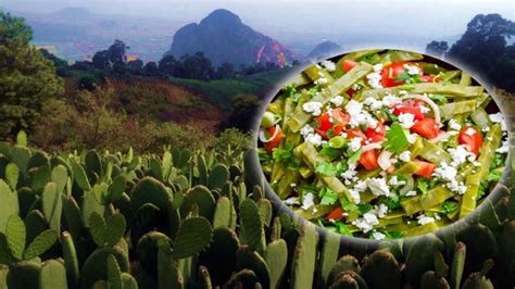 Tlalnepantla Morelos ¿por Qué Es La Capital Mundial Del Nopal